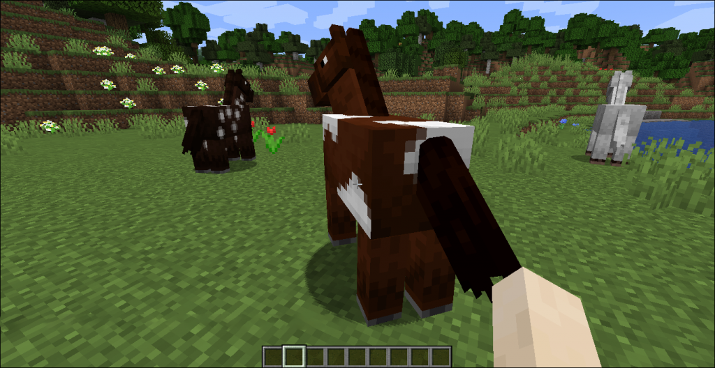 How to Tame a Horse in Minecraft