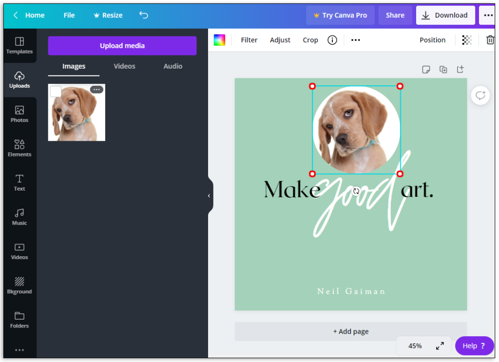 How to Make a Picture Round in Canva