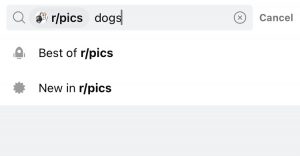 How to Perform a Search Within a Specific Subreddit