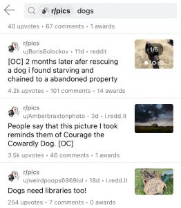 How to Perform a Search Within a Specific Subreddit