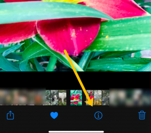 How To Add Date/Time Stamps to Photos on the iPhone