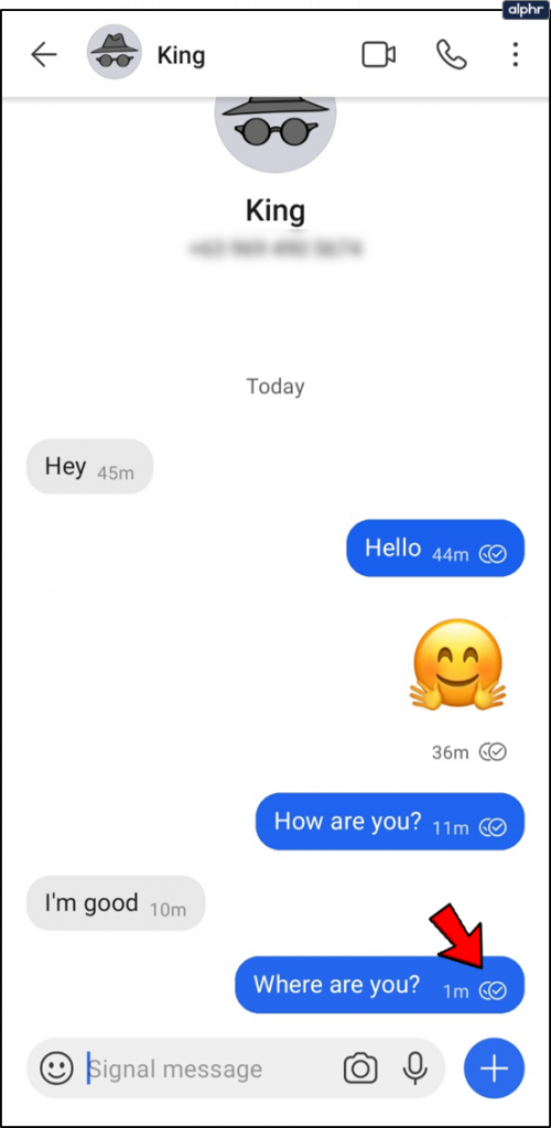 How to Tell if Your Message Has Been Read on Signal