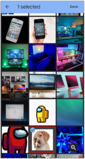 How to Make a Picture Round in Canva