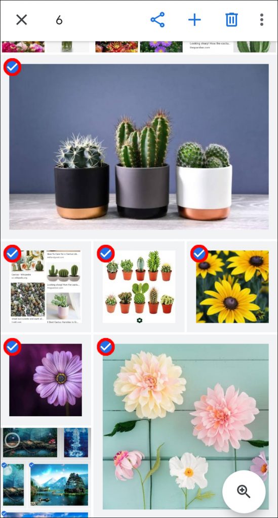 How to Add Location Information to Your Google Photos