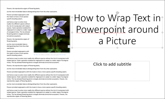 How to Wrap Text in PowerPoint