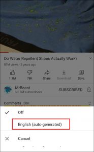 How to Get the Transcript of a YouTube Video