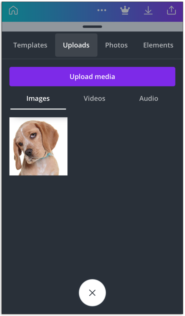 How to Make a Picture Round in Canva