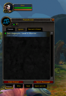How to Play World of Warcraft With Friends