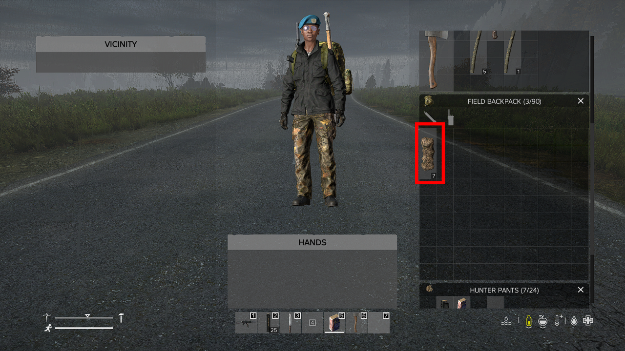 How to Make a Fire in Dayz