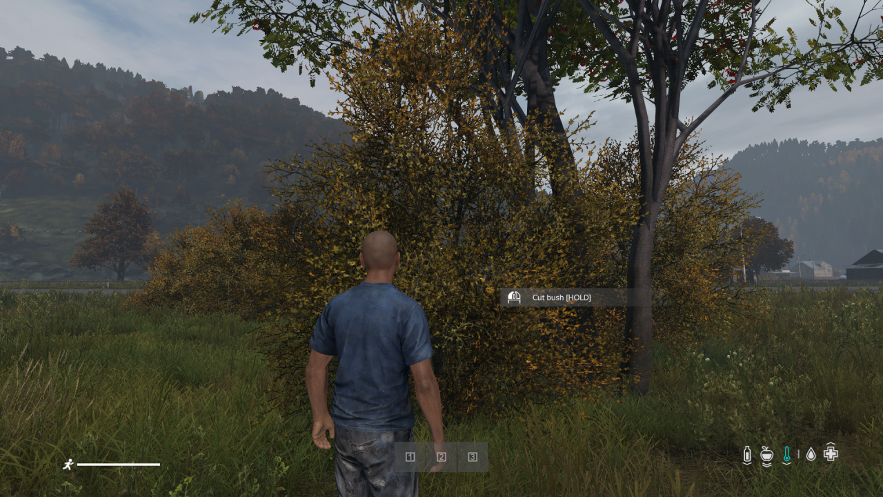 How to Make a Splint in Dayz