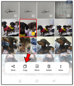 How To Download and See All Your Android Files