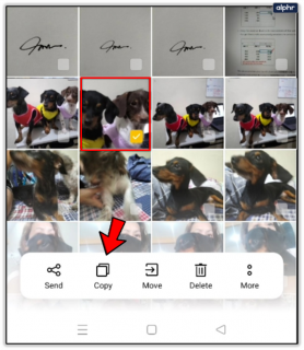 How To Download and See All Your Android Files