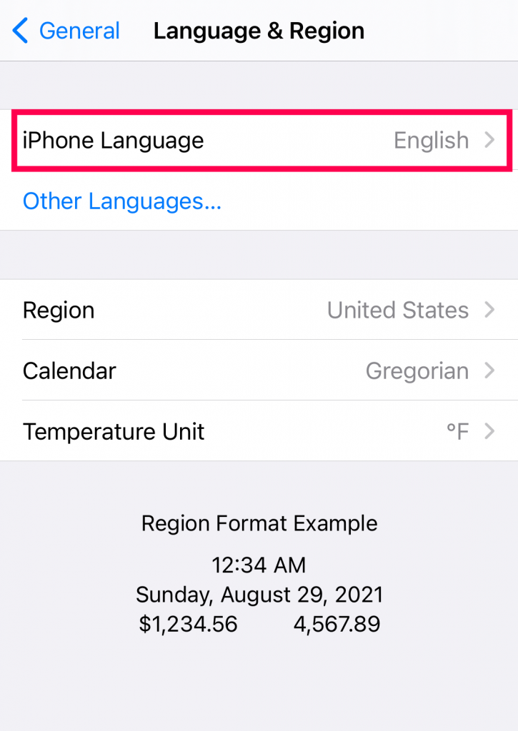 How To Change the Google Maps Voice