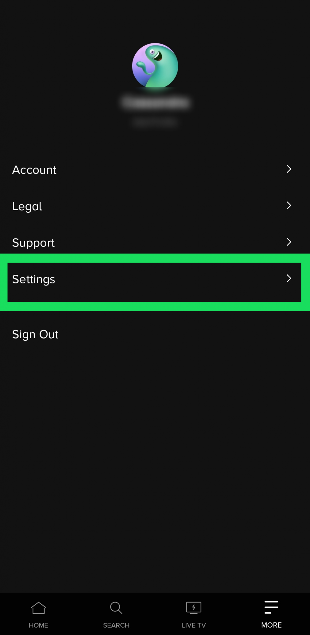 How to Manage Subtitles for Paramount+ (All Major Devices)