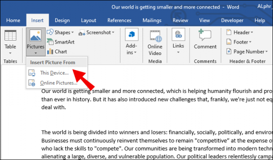 How to Insert a PDF Into Word