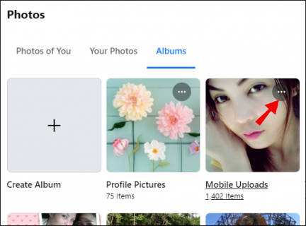 How to Download All Photos from Your Facebook Profile and Pages