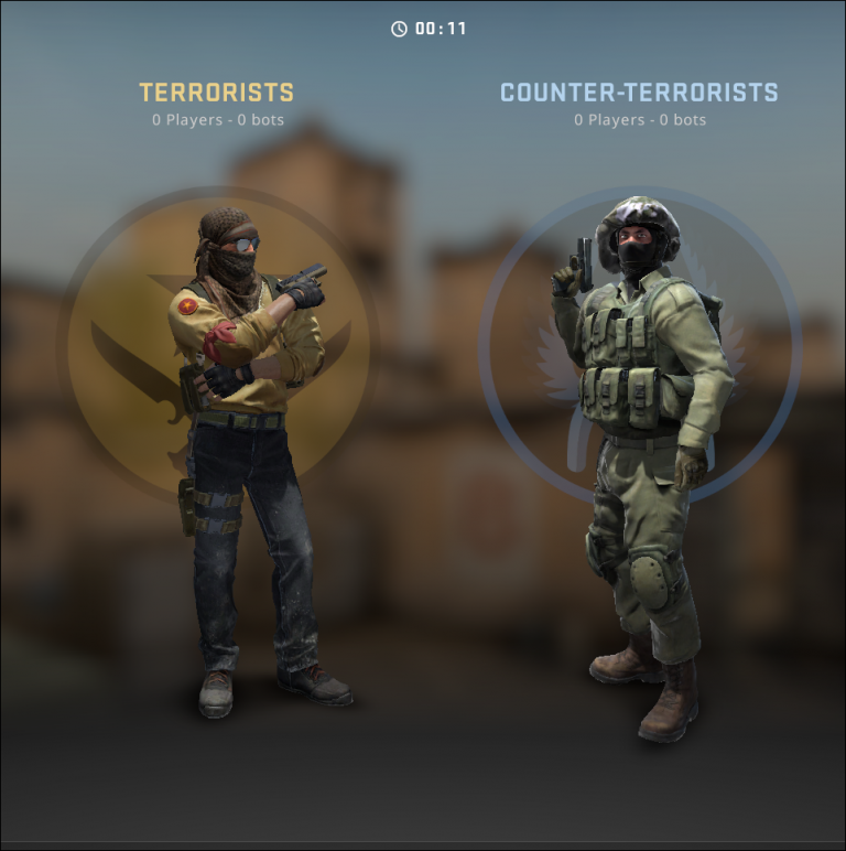 How to Add Bots to CSGO