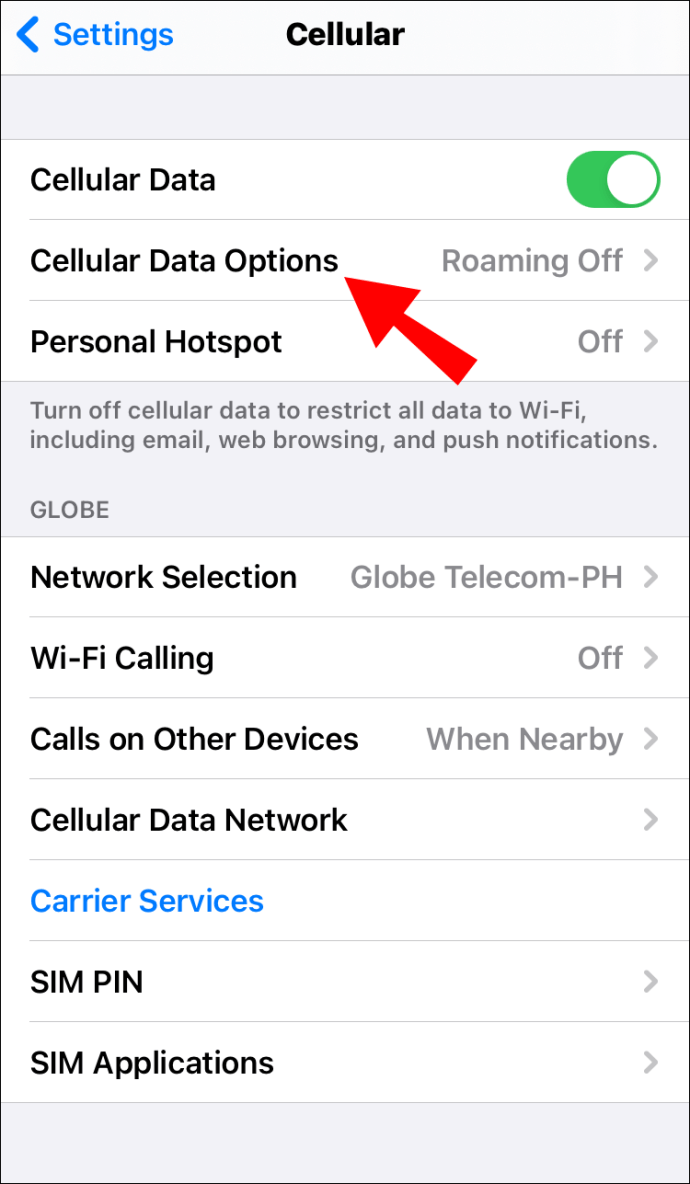Could Not Activate Cellular Data Network Fixes