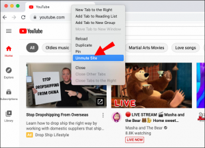 Try These Fixes When Your Sound is Not Working in Chrome