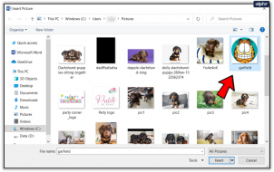 How to Crop Images Into Different Shapes (Square, Circle, Triangle)