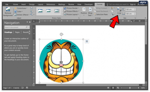 How to Crop Images Into Different Shapes (Square, Circle, Triangle)
