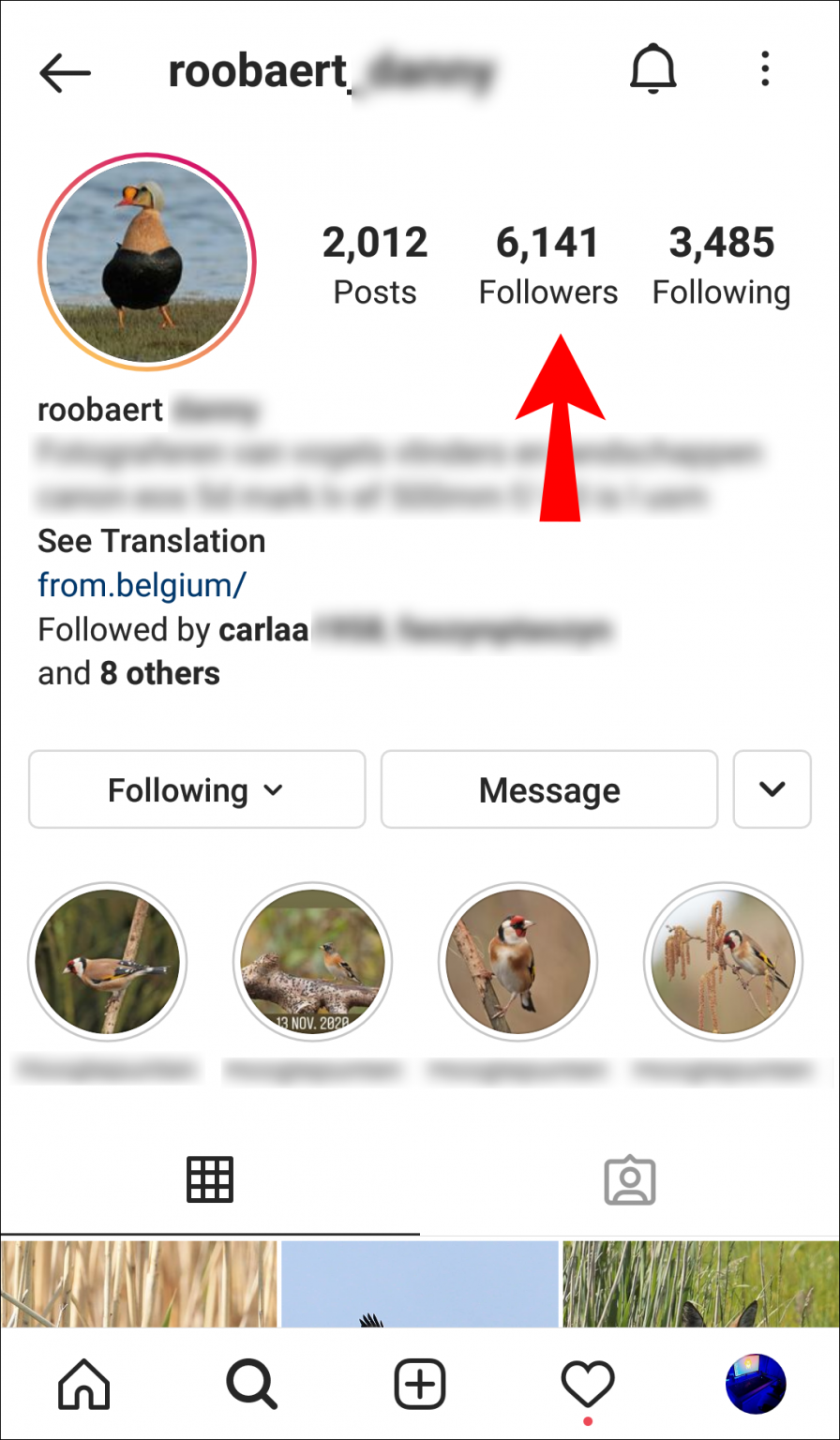 How to See Your Follower's Activity on Instagram