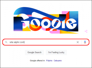 How to Search Within a Specific Website