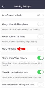 How to Mirror My Video in Zoom