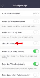 How to Mirror My Video in Zoom