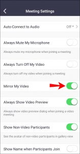How to Mirror My Video in Zoom