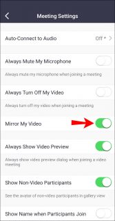 How to Mirror My Video in Zoom