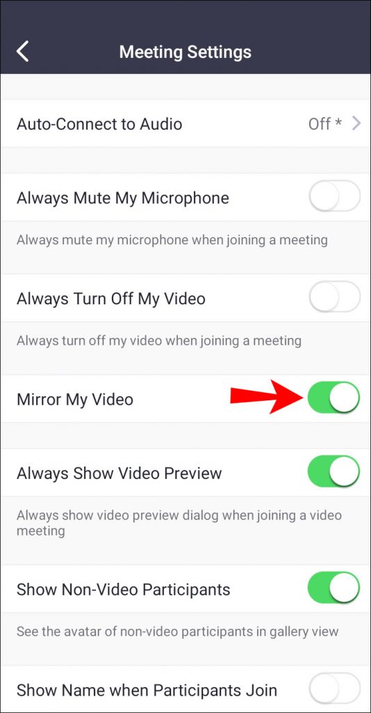 How to Mirror My Video in Zoom