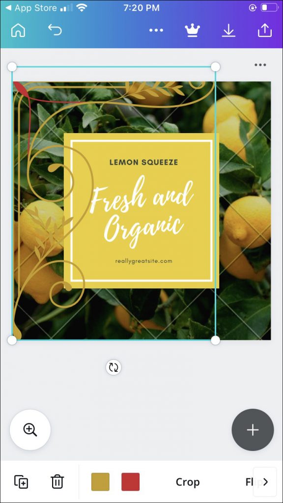 How to Add a Border in Canva