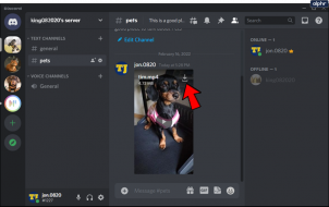 How To Download Videos from Discord