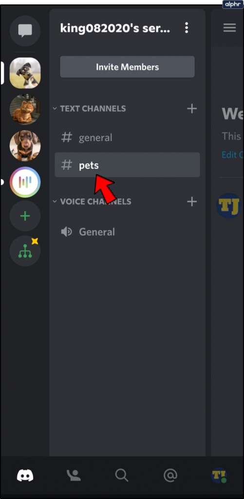 How To Download Videos from Discord