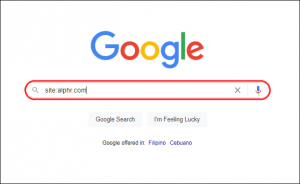 How to Search Within a Specific Website