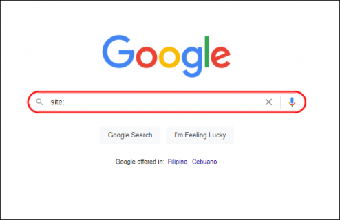 How to Search Within a Specific Website