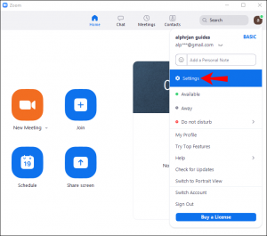 How to Mirror My Video in Zoom