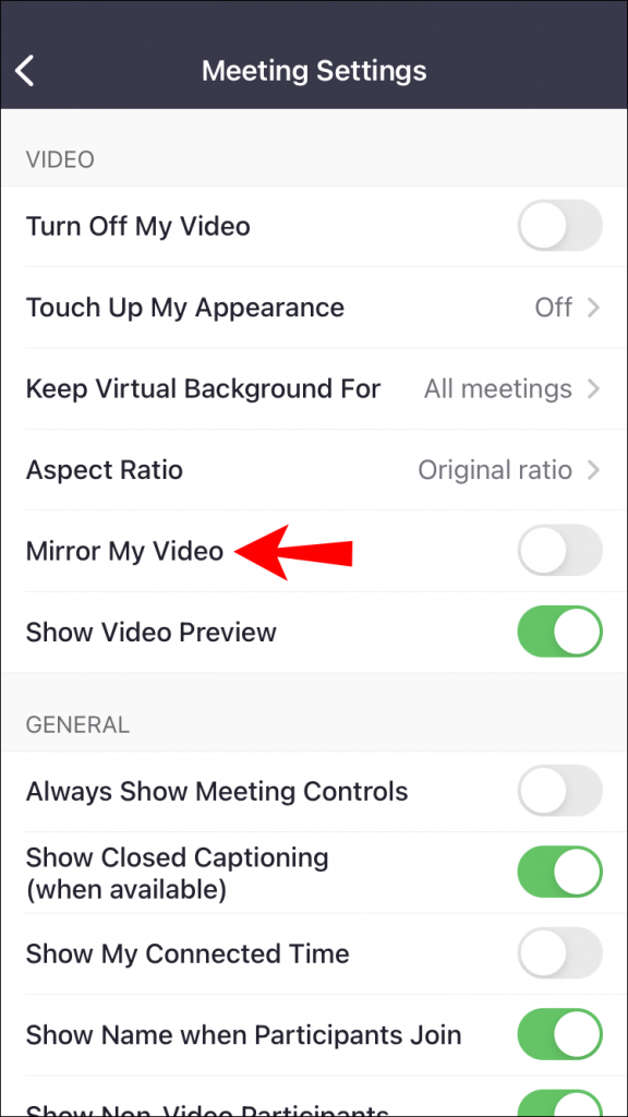 How to Mirror My Video in Zoom