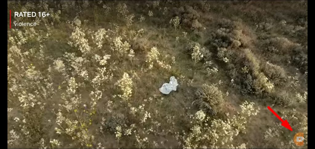 How to Screenshot Netflix on Any Device