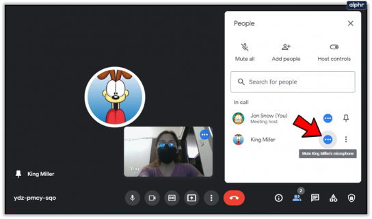 How to Mute Everyone on Google Meet