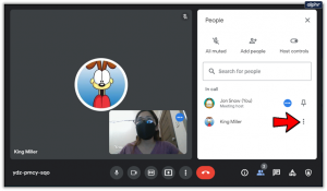How to Mute Everyone on Google Meet