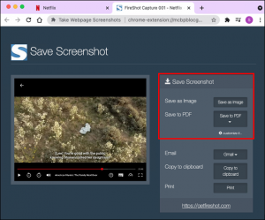 How to Screenshot Netflix on Any Device