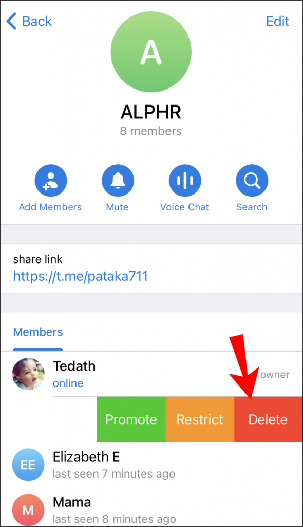 How to Delete Groups in Telegram