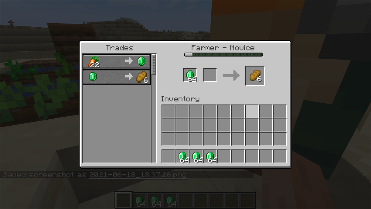 How to Find Villages in Minecraft