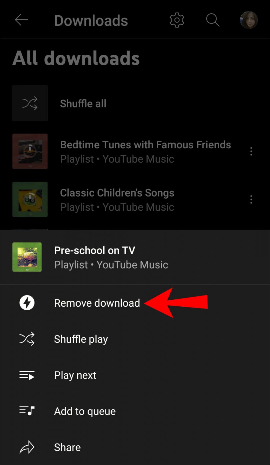 How to Download Library from YouTube Music