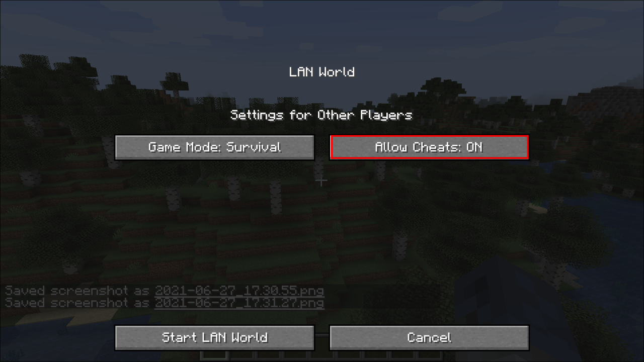 How to Teleport in Minecraft