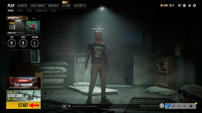 PUBG: How to Play With Bots