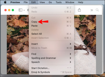 How to Change the Folder Icon on a Mac