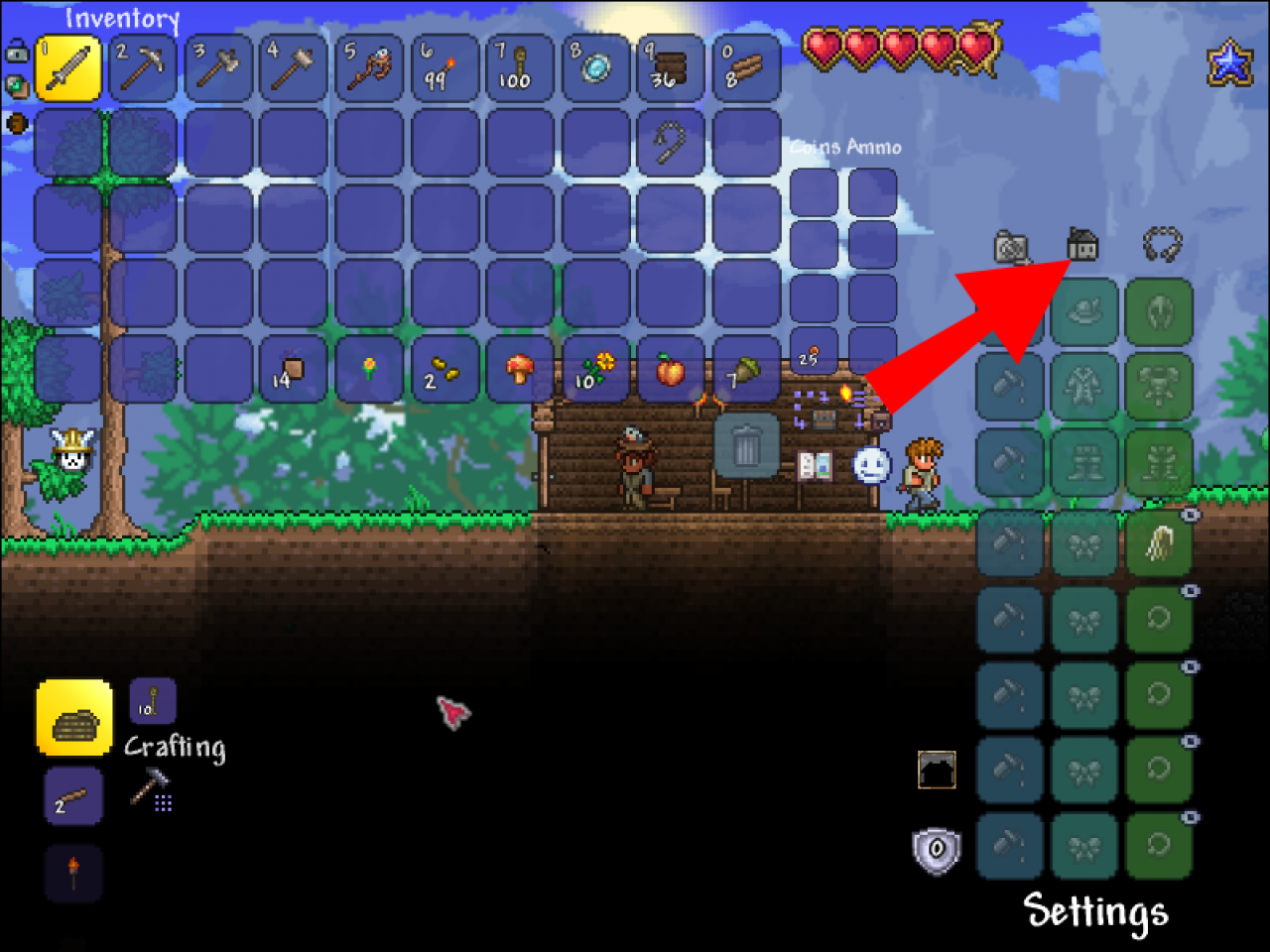 How To Get NPCs in Terraria